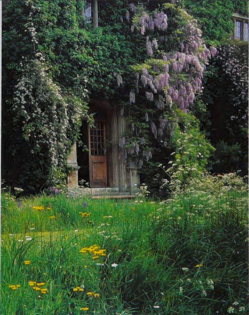 Podcast – The Dead Ladies Show