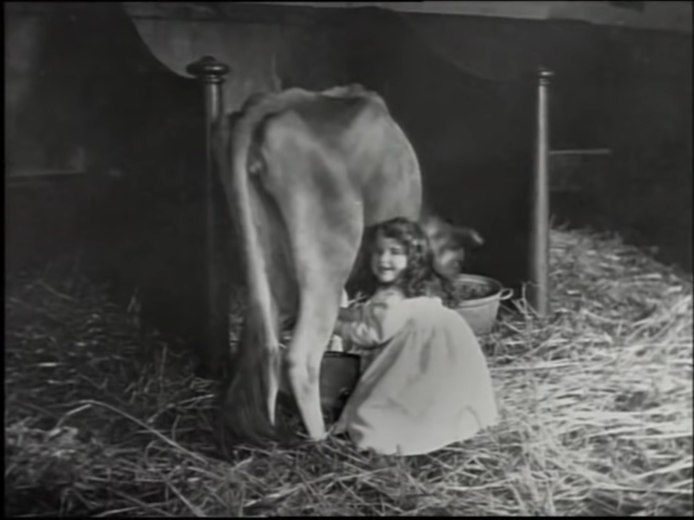 Podcast – The Dead Ladies Show